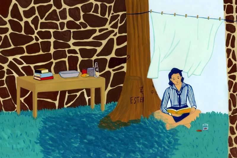 Bruja, by Michelle Nahmad | MFA Visual Narrative School of Visual Arts